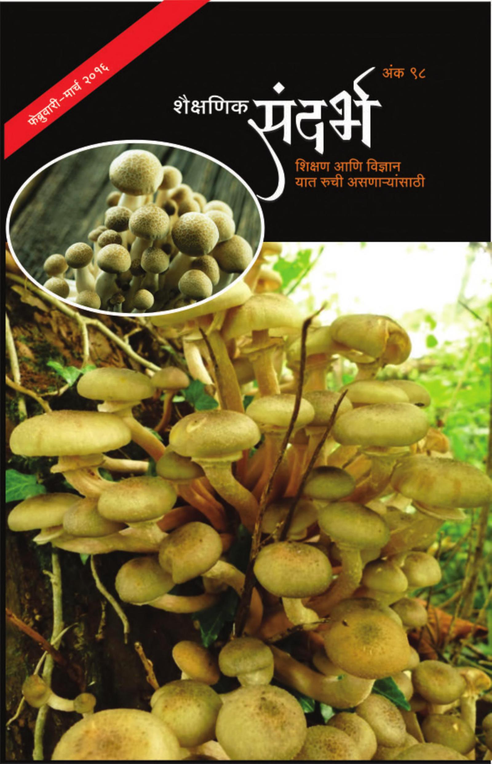 सन्दर्भ - अंक 98 | Marathi Book | SANDARBH - ISSUE 98 - ePustakalay
