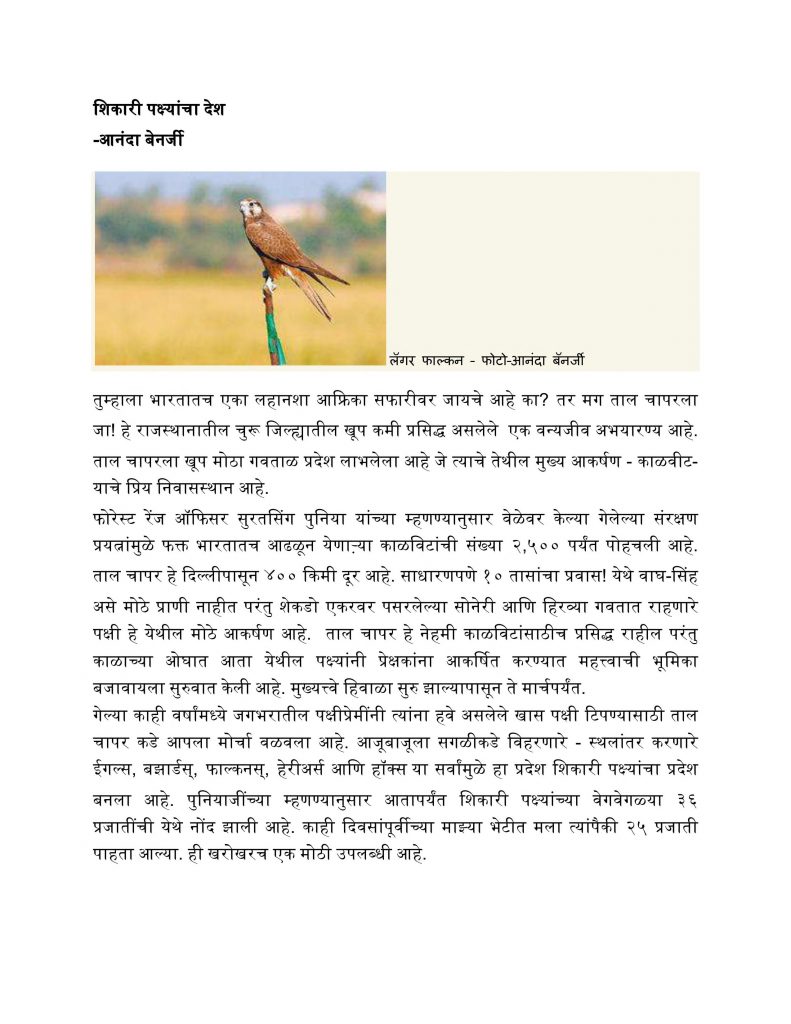 शिकारी पक्ष्यांचा देश | Marathi Book | SHIKARI PAKSHIYANCHA DESH ...